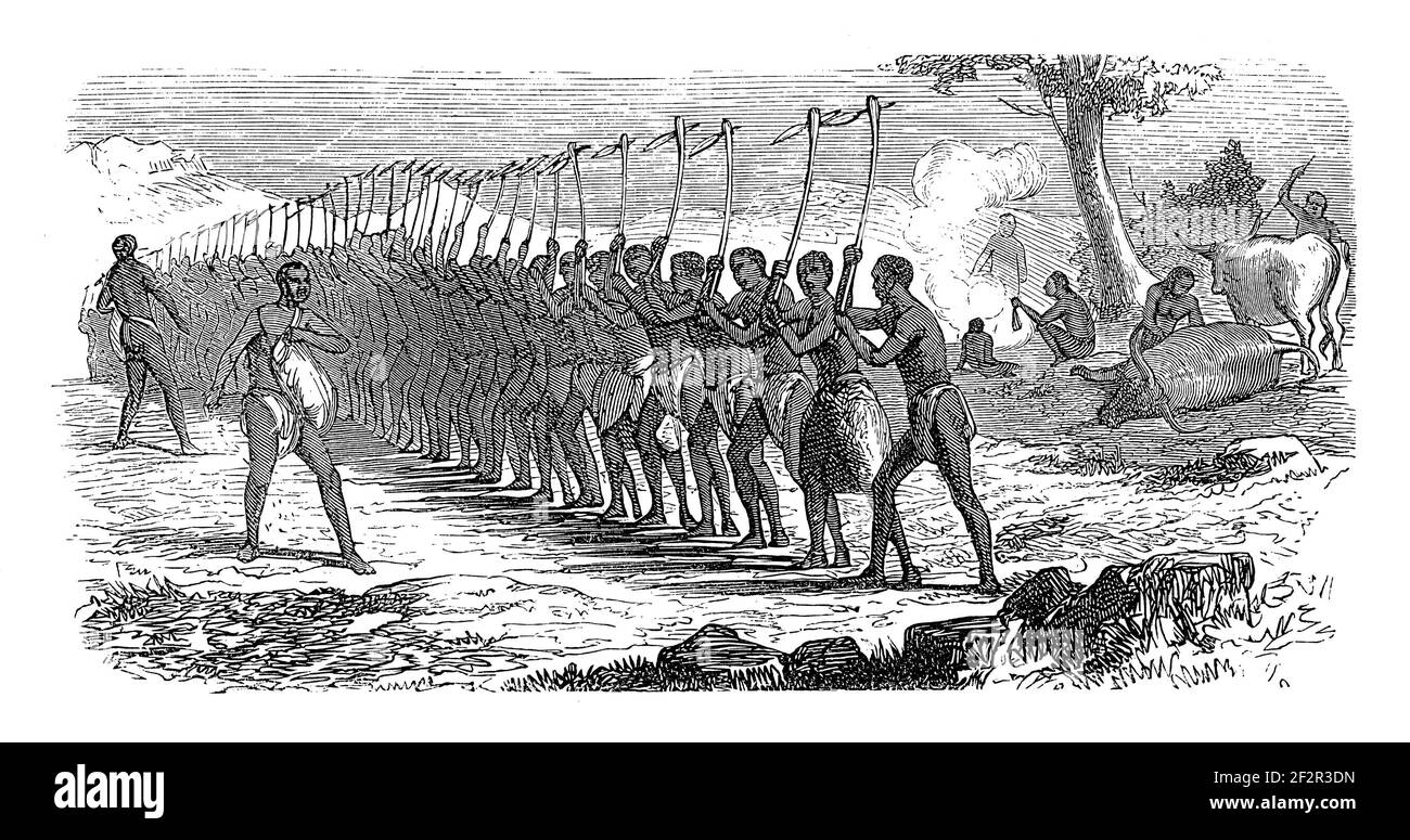 Basotho tribe Black and White Stock Photos & Images - Alamy