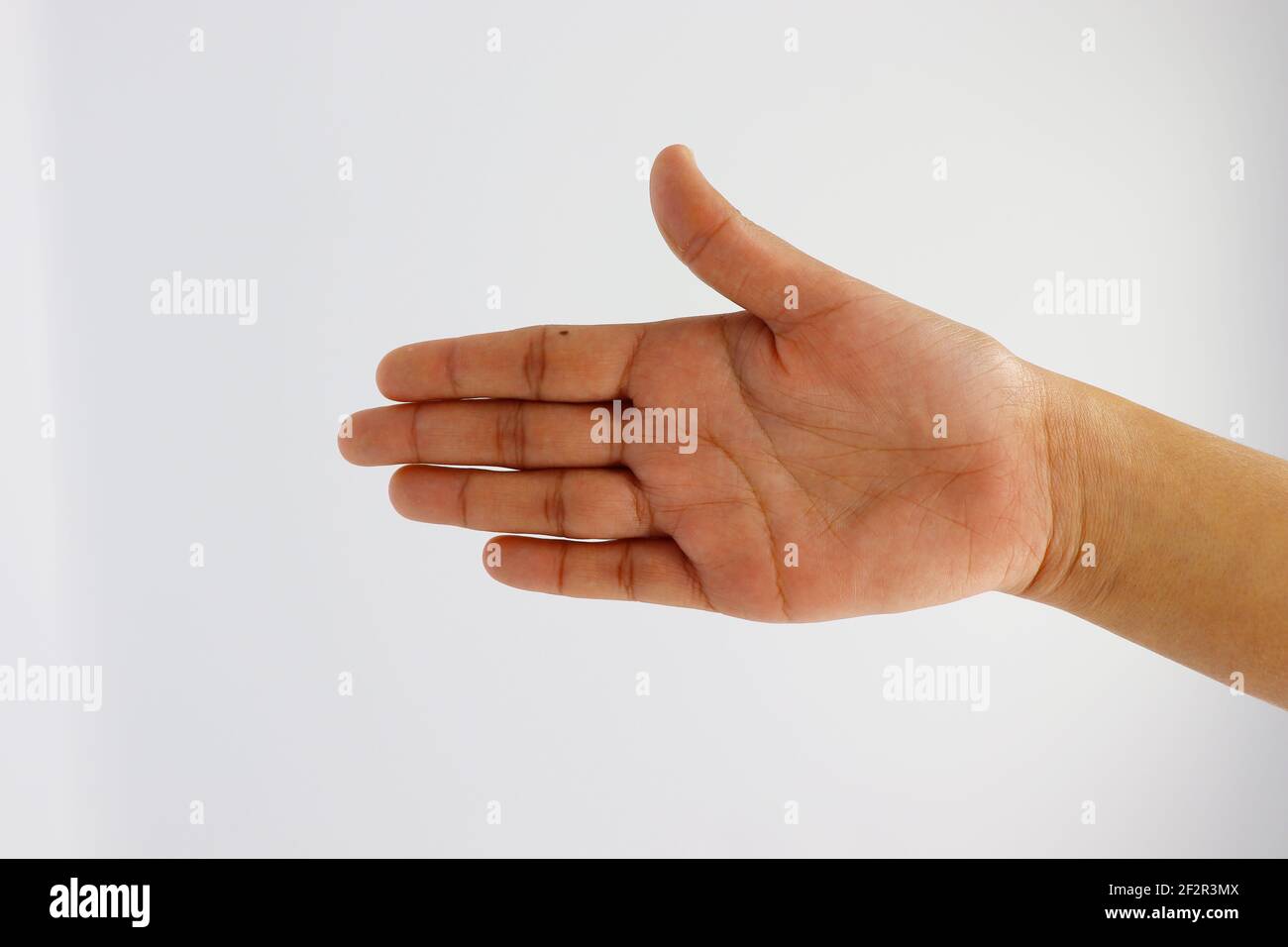 beautiful woman's hand isolated on white background,Young woman hand ...