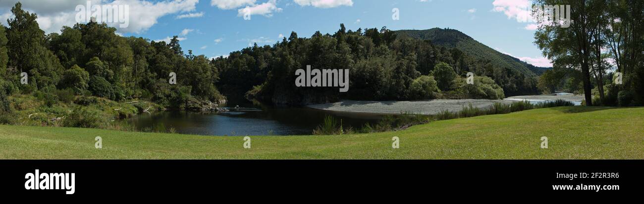 Totara flat in Pelorus Bridge Scenic Reserve,Marlborough Region on ...