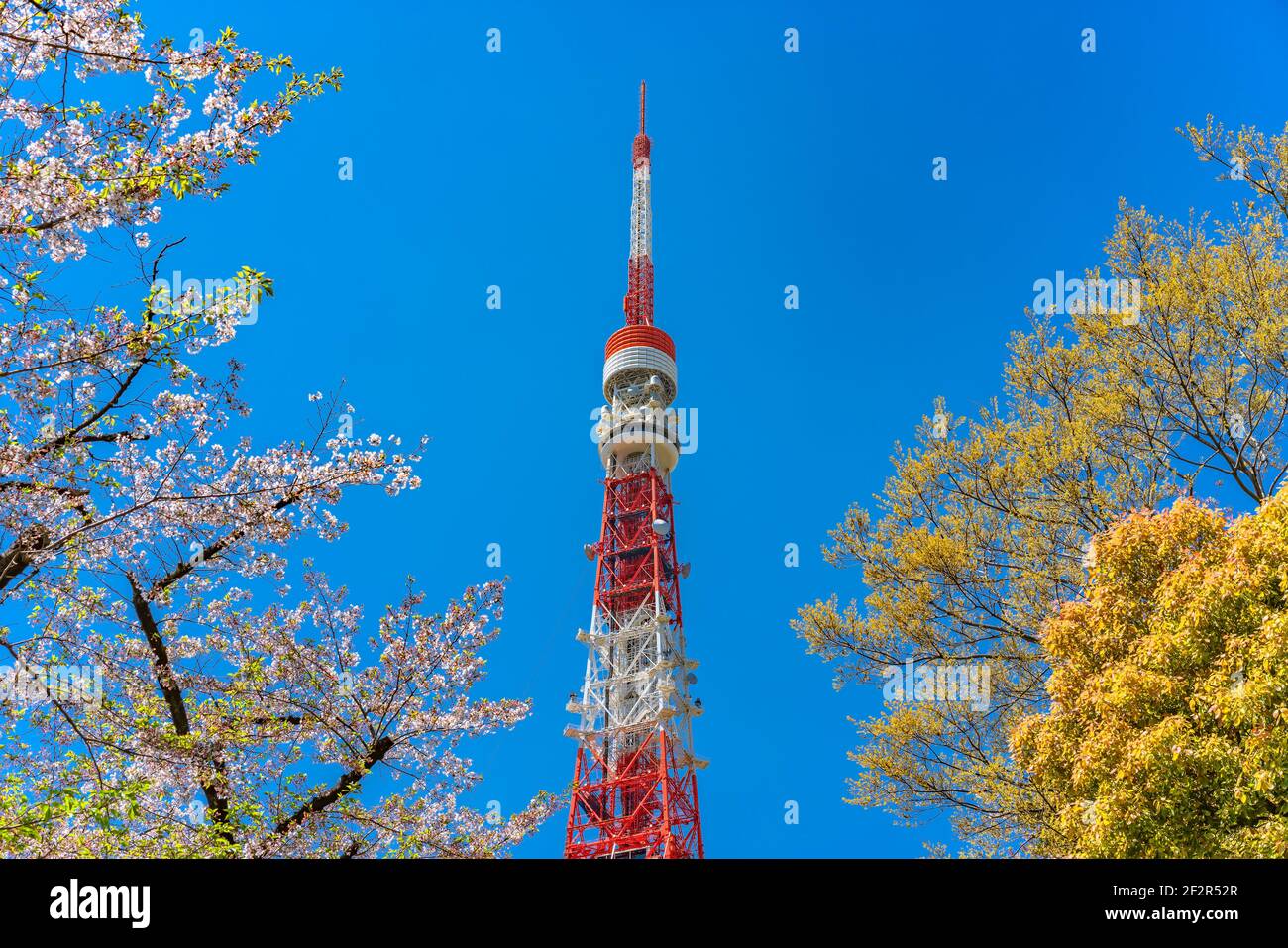 tokyo, japan - april 13 2020: Sightseeing landmark Tokyo tower called ...