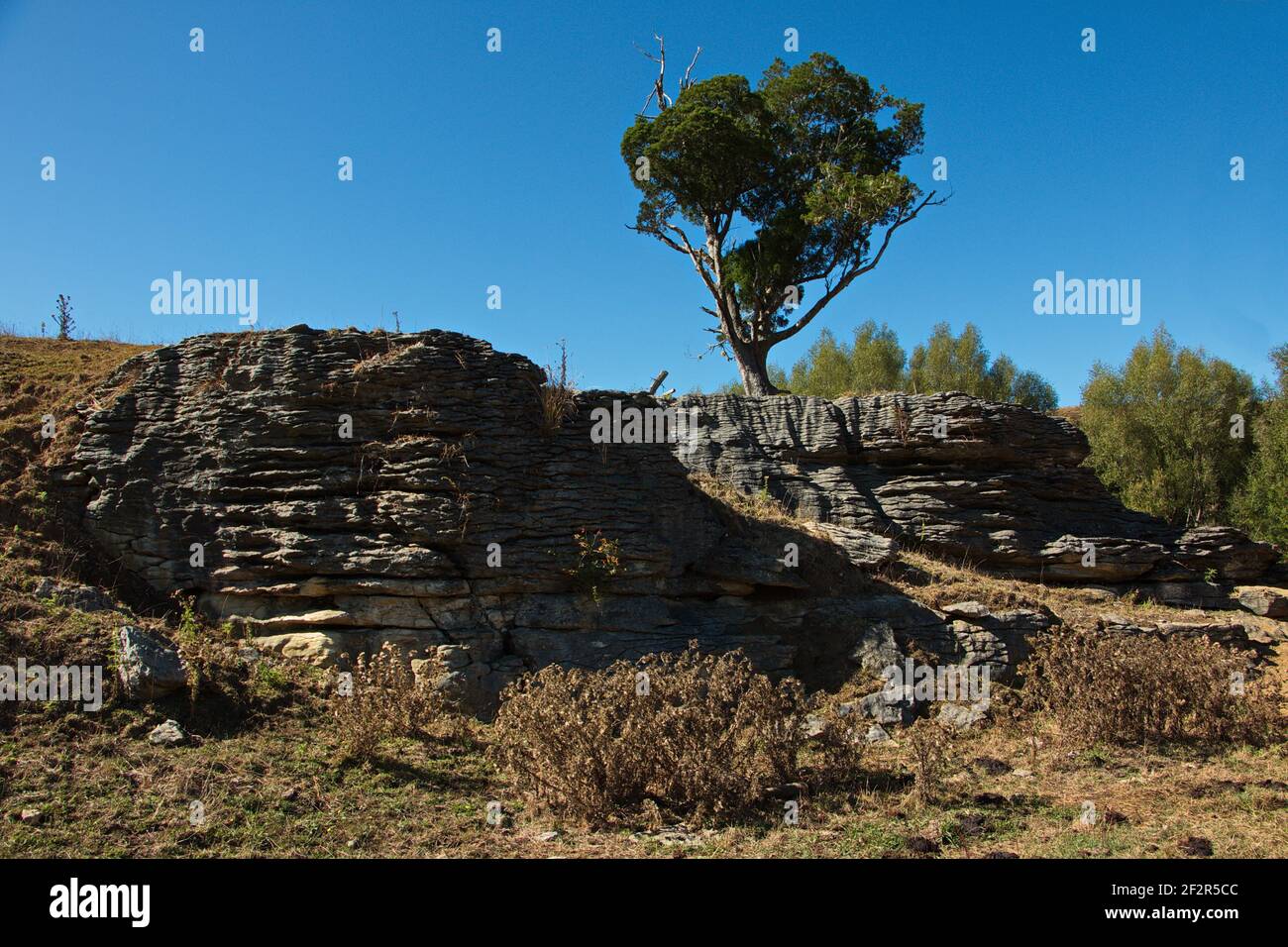 Landscape at Waitomo walkway near Waitomo in Waikato region on North ...