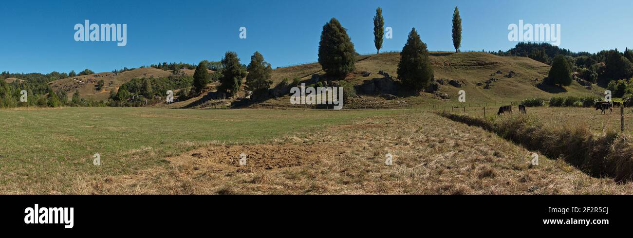 Landscape at Waitomo walkway near Waitomo in Waikato region on North ...
