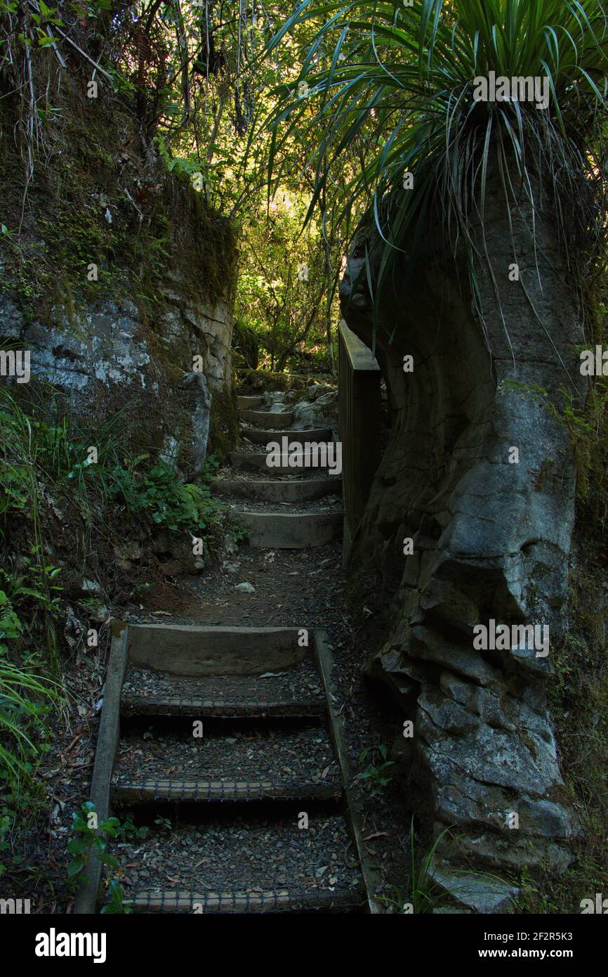 Bushwalk hi-res stock photography and images - Alamy