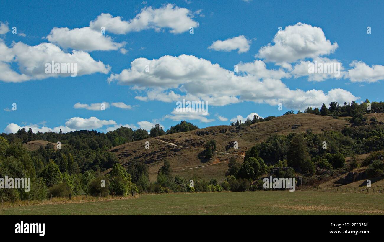 Landscape at Waitomo walkway near Waitomo in Waikato region on North ...