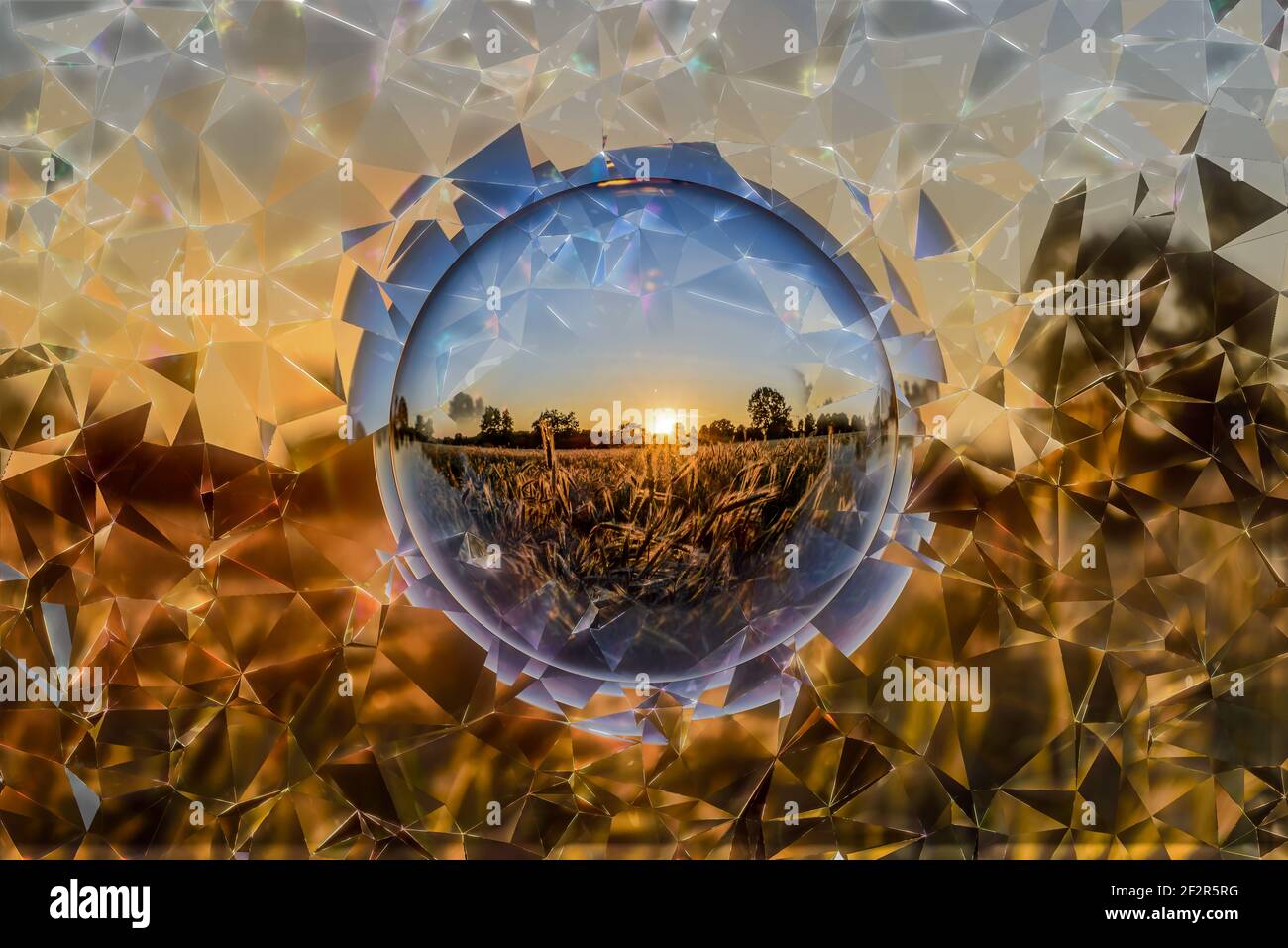 Cornfield in a crystal ball at sunset Stock Photo - Alamy