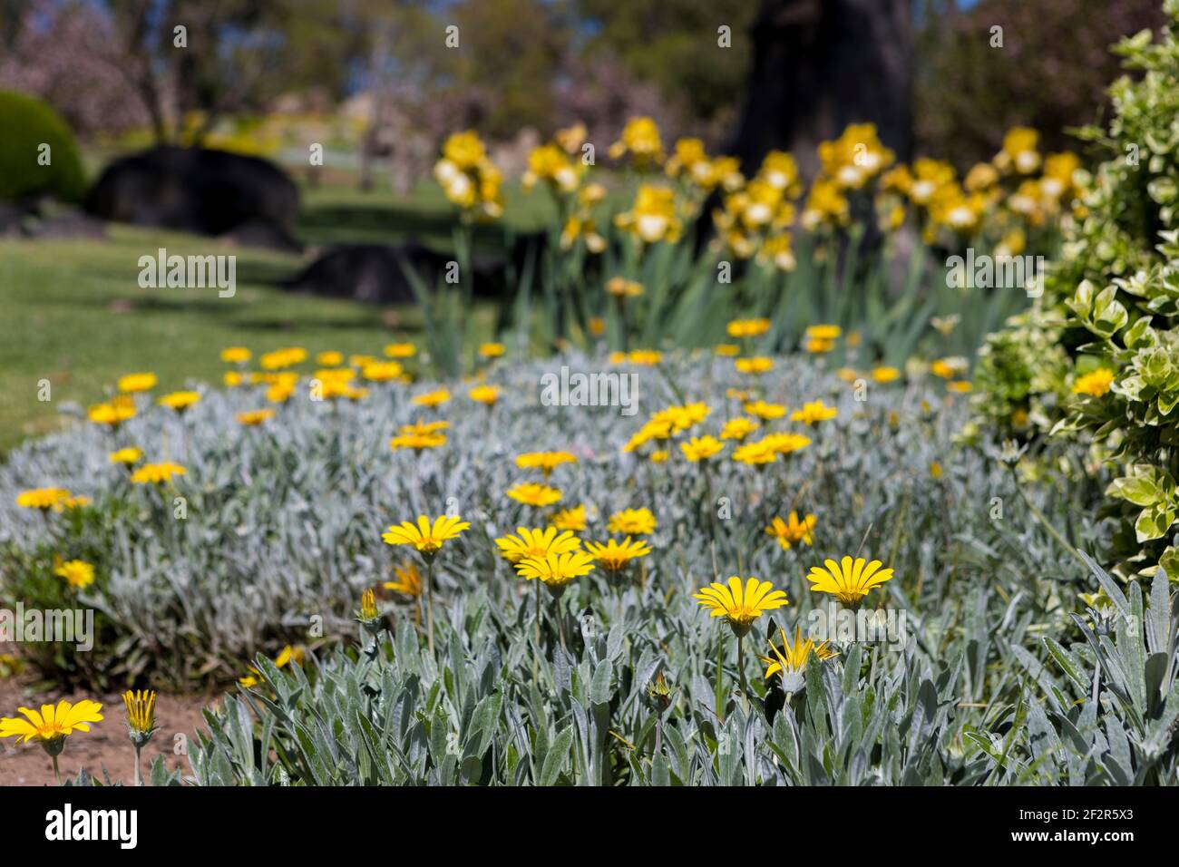 Cowra Japanese Garden, NSW, Australia Stock Photo - Alamy