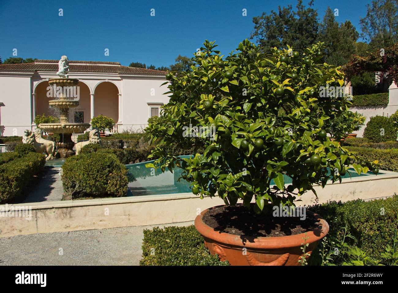 Italian garden hamilton gardens hi-res stock photography and images - Alamy