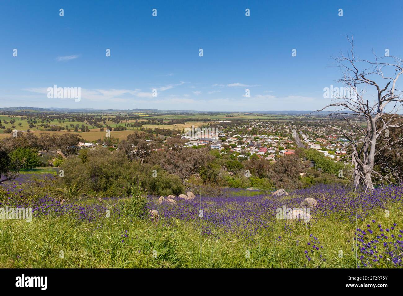 View over Cowra NSW, Australia Stock Photo - Alamy