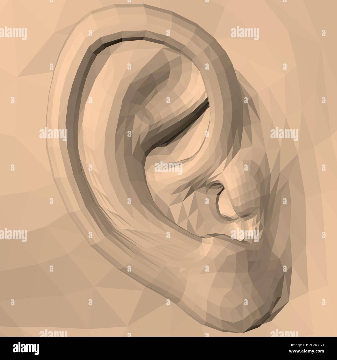 Polygonal model of the human ear. Side view. 3D. Vector illustration ...