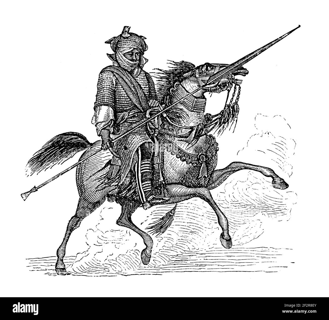 Bornu horse hi-res stock photography and images - Alamy