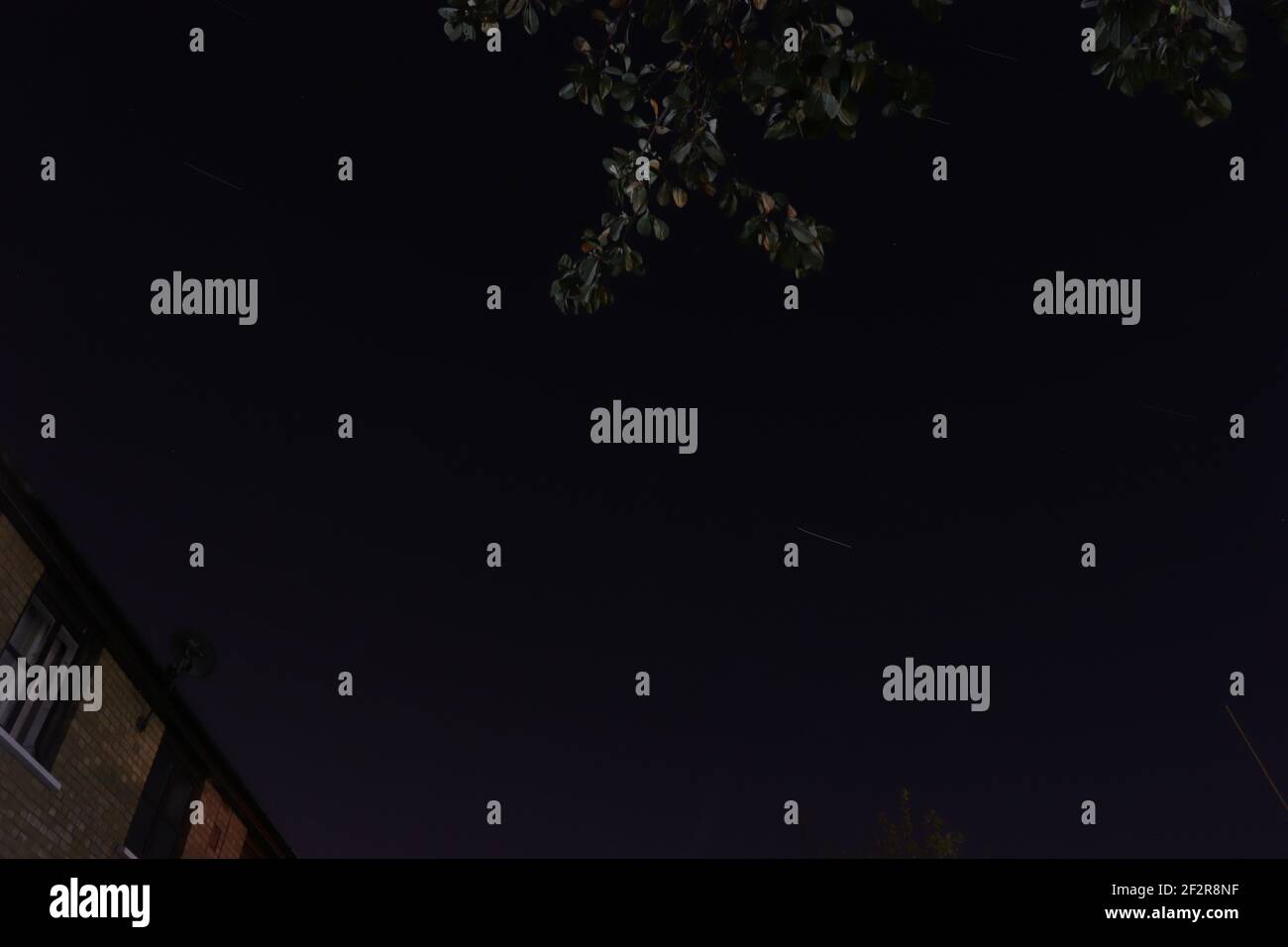 Back garden solar lights hi-res stock photography and images - Alamy