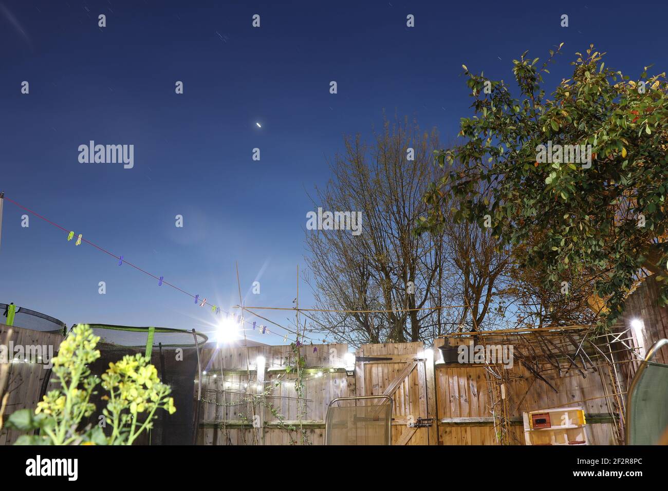 Night sky and garden lit up with halogen and solar lights Stock Photo ...