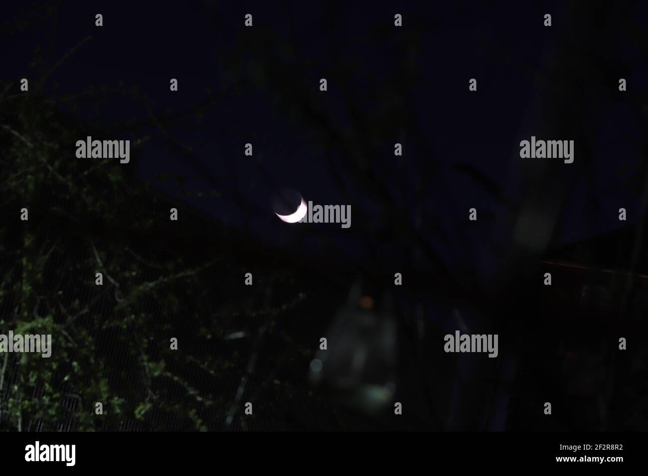 Night sky and garden lit up with halogen and solar lights Stock Photo ...