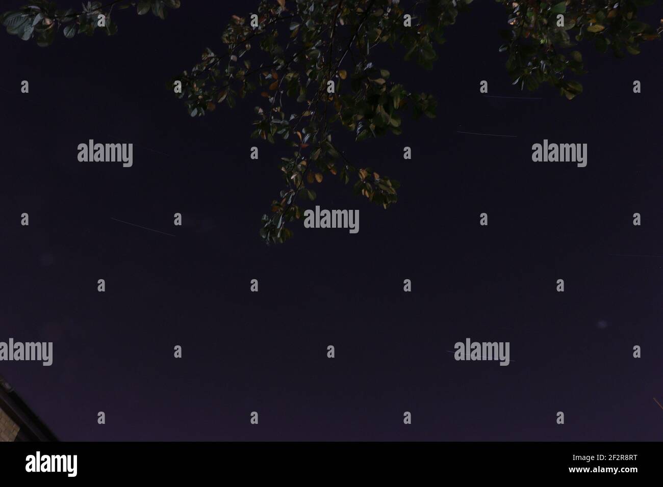 Night sky and garden lit up with halogen and solar lights Stock Photo ...