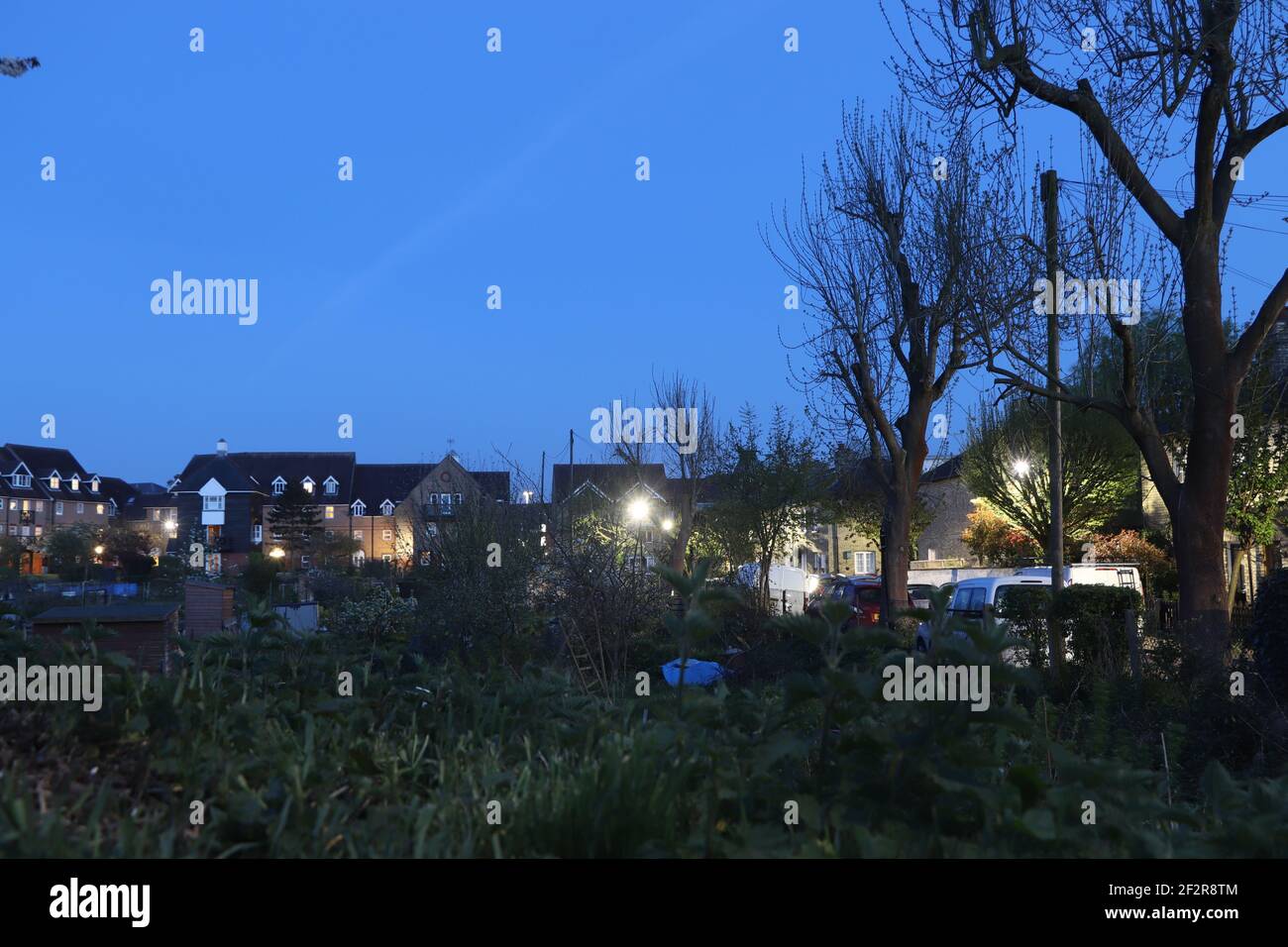 Night sky and garden lit up with halogen and solar lights Stock Photo ...