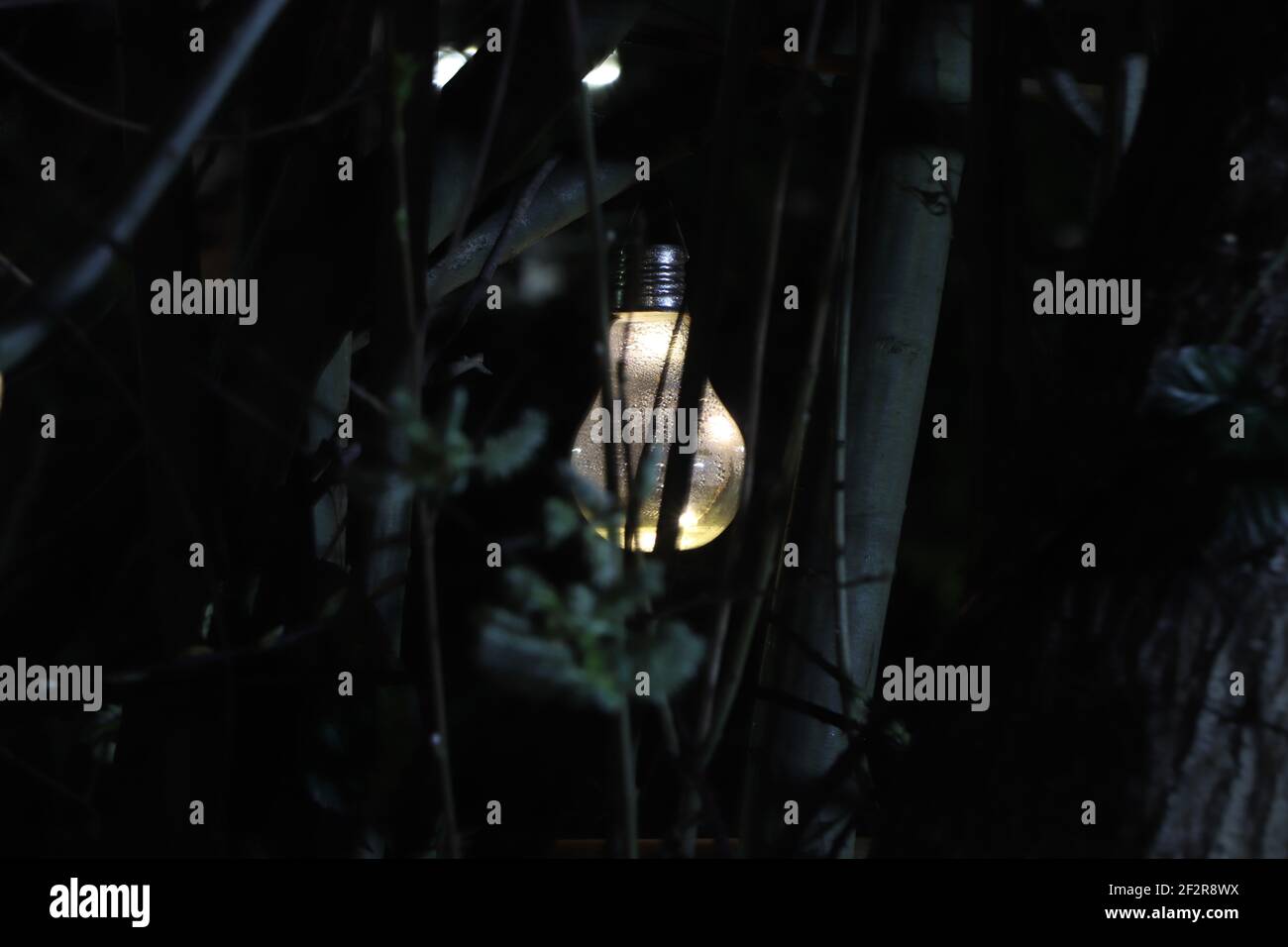 Night sky and garden lit up with halogen and solar lights Stock Photo ...