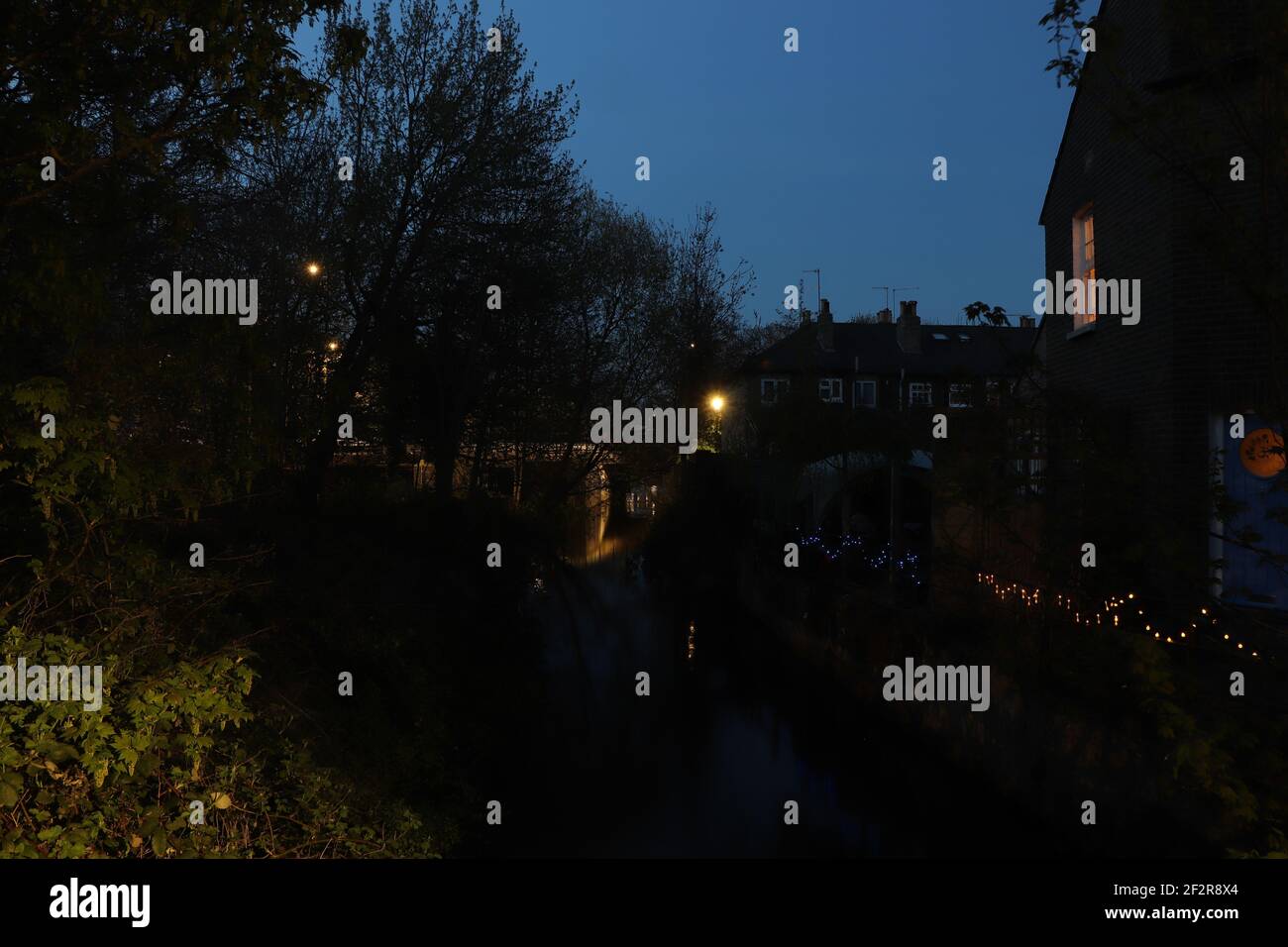 Night sky and garden lit up with halogen and solar lights Stock Photo ...