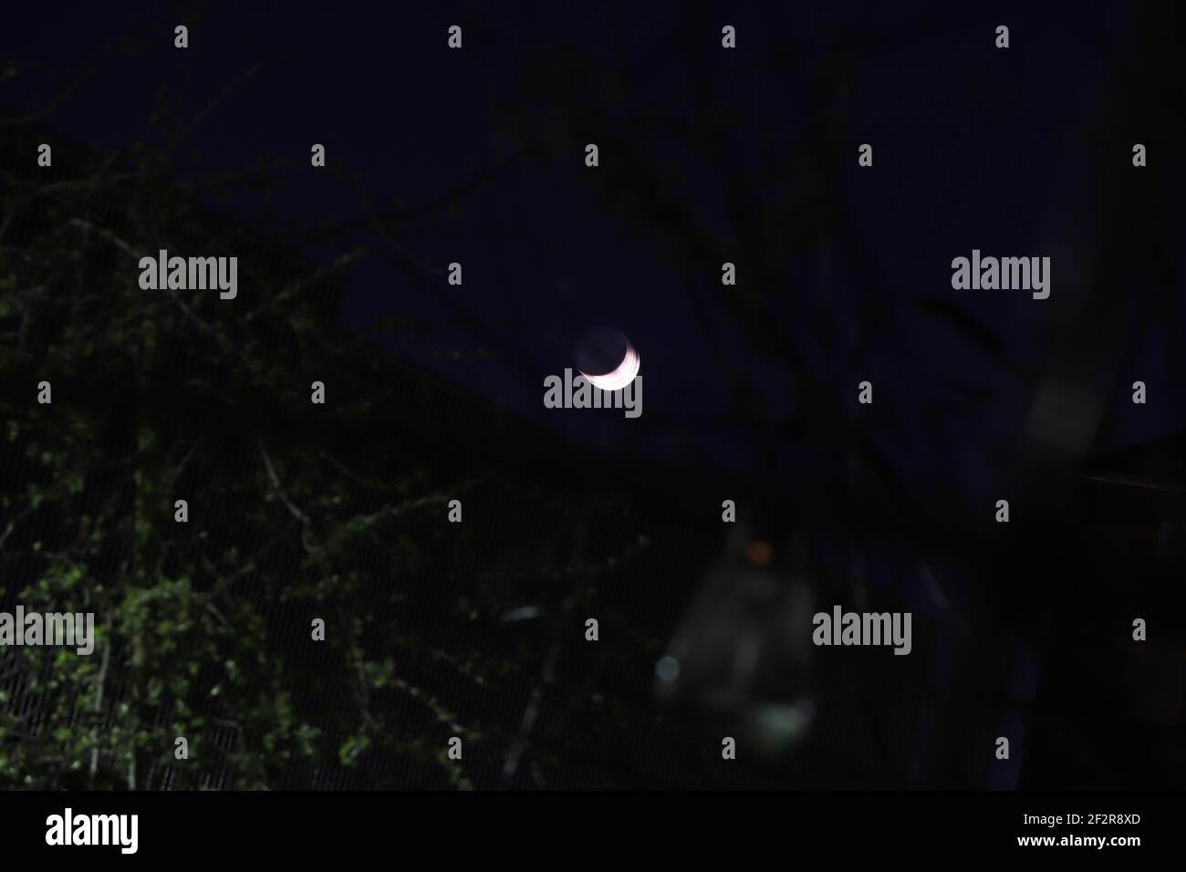 Night sky and garden lit up with halogen and solar lights Stock Photo ...