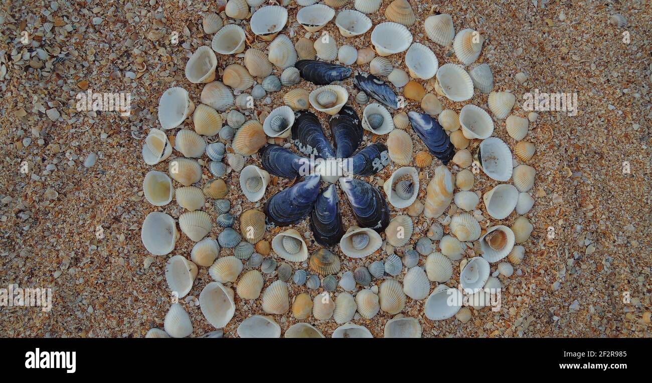 Round Pattern Of Shells And Mussels On A Sea Sand Stock Photo - Alamy