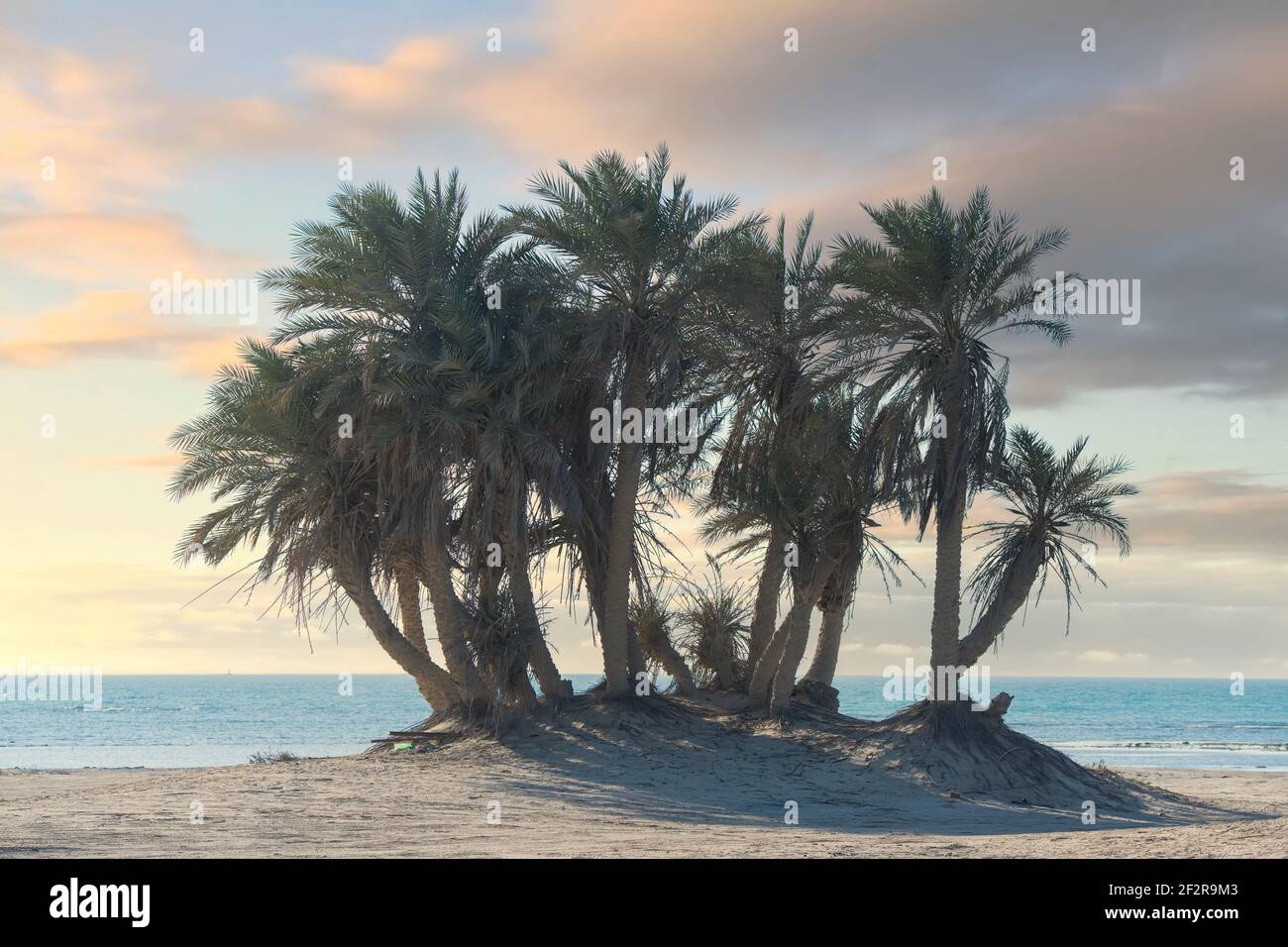 Doha qatar beach hi-res stock photography and images - Alamy