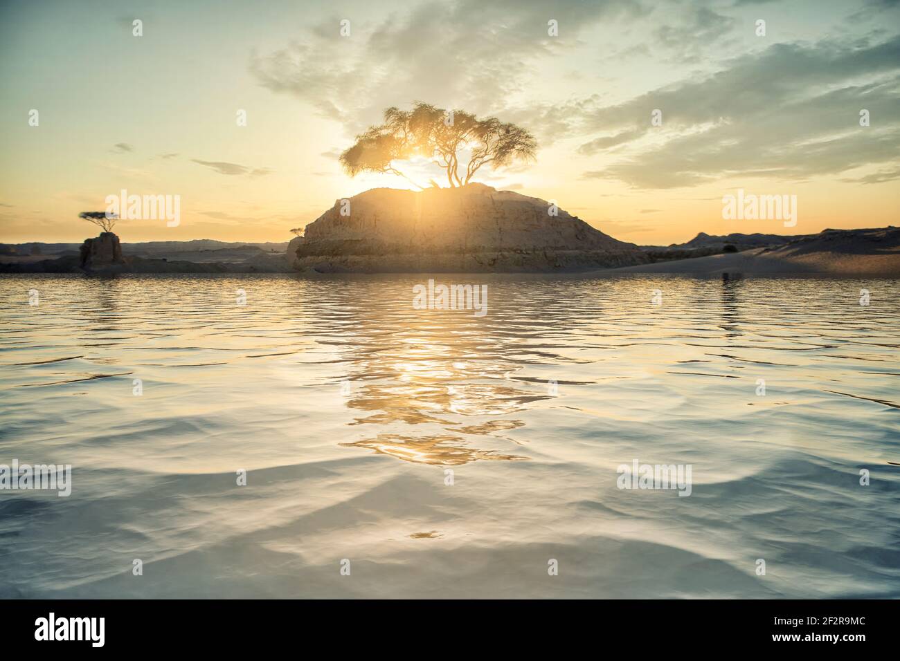 Umbab qatar hi-res stock photography and images - Alamy