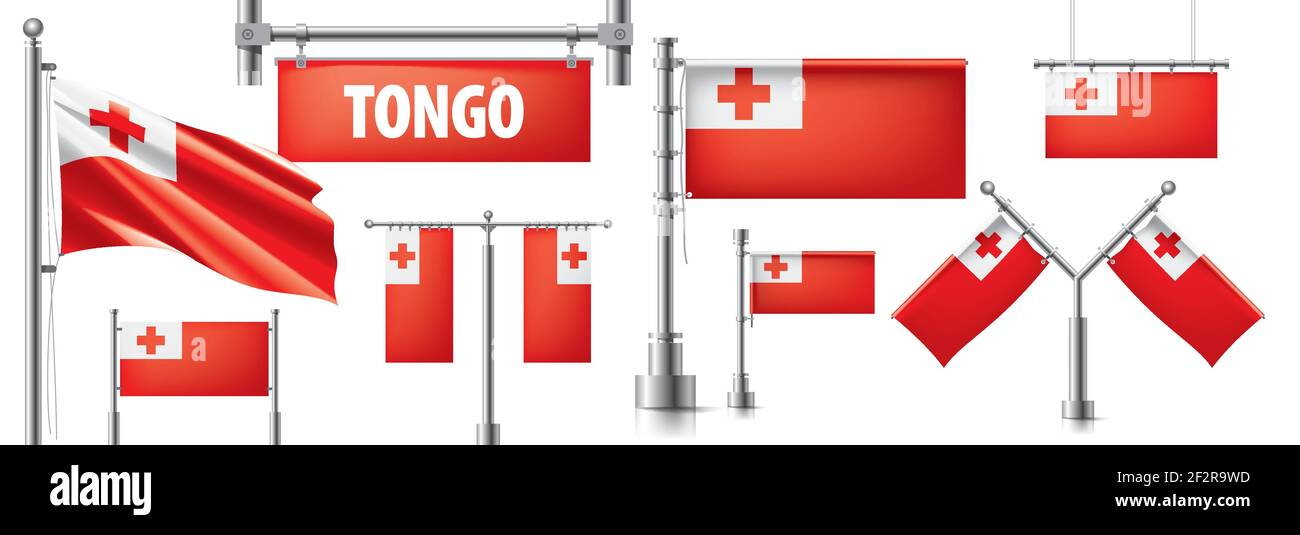 Vector set of the national flag of Tonga in various creative designs ...