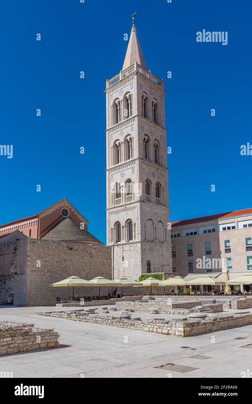 Bell tower between Saint Donatus church and Saint Anastasia cathedral ...