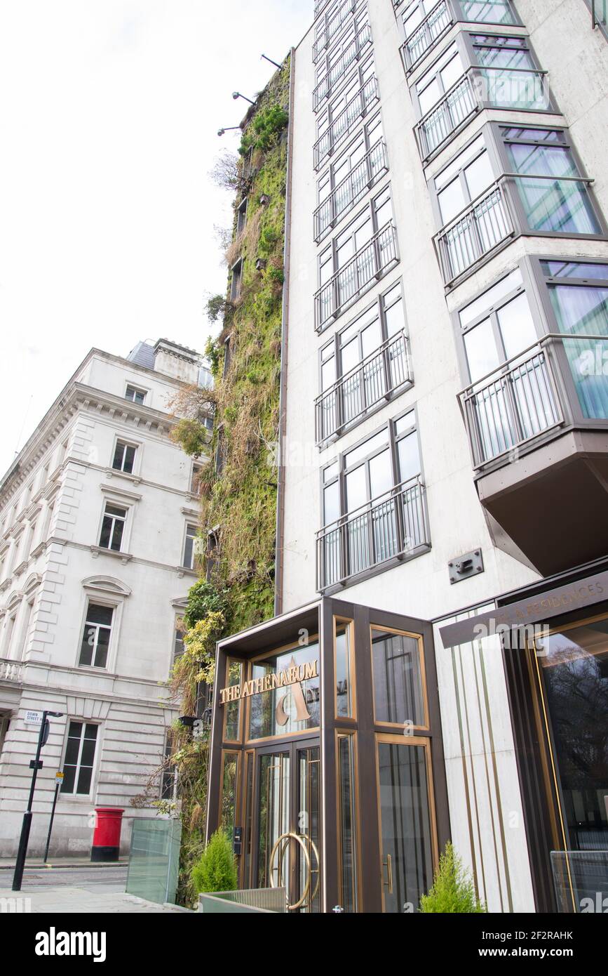 Living Green Wall Vertical Garden The Athenaeum Hotel & Residences 116 ...