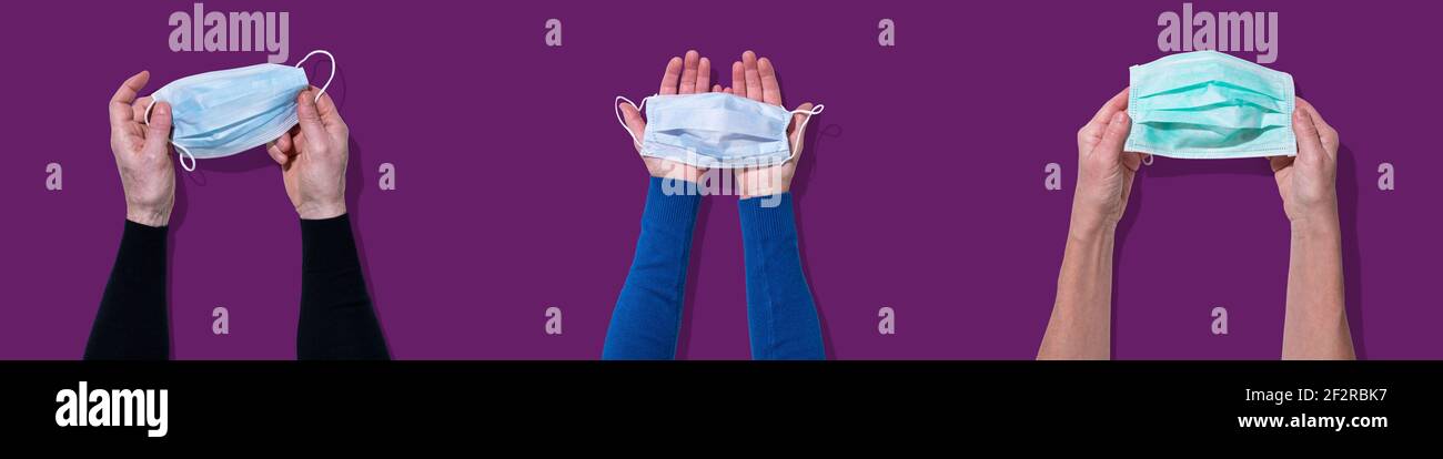 Hands holding face mask for coronavirus preventive measure on purple ...