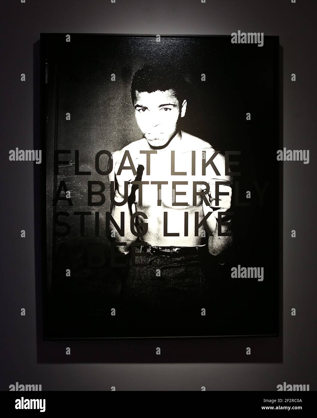 If you’re a fan of Disney, you’re also in luck as Harris is the first ...