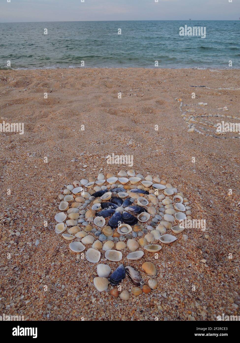 Handmade Pattern Of Shells And Clams On A Sea Beach Stock Photo - Alamy