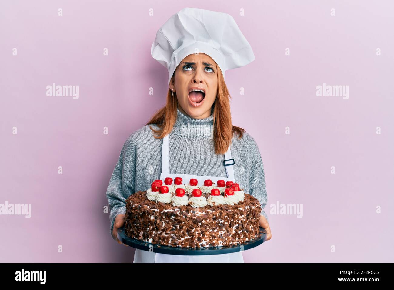 Hispanic young chef woman holding chocolate cake angry and mad ...