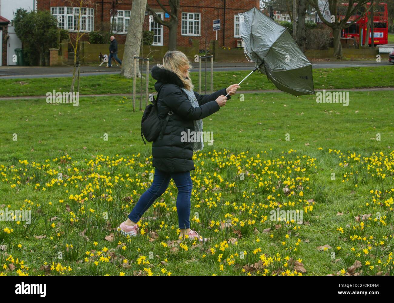 Woman with messyhair hi-res stock photography and images - Alamy