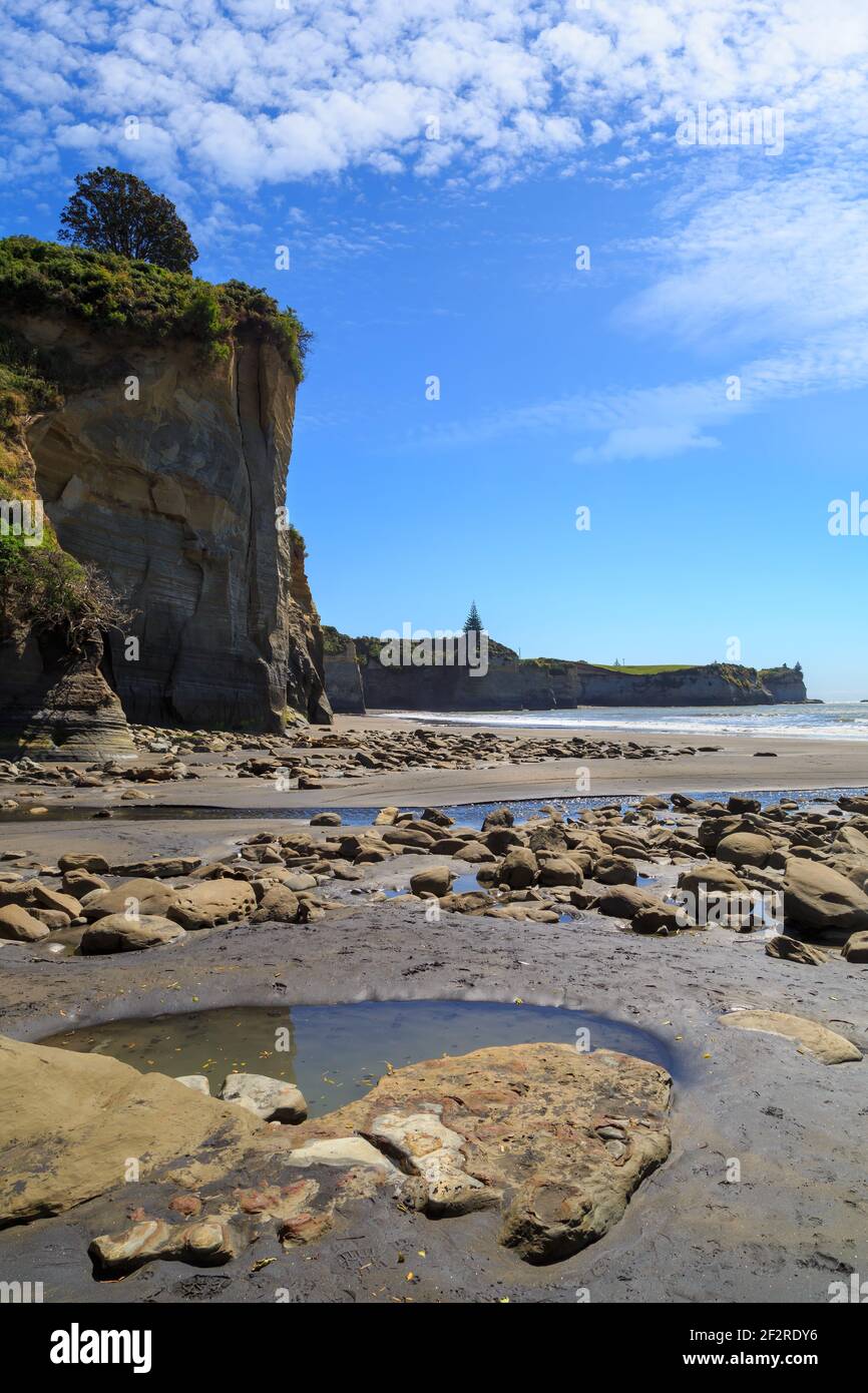 The steep sea cliffs at Whitecliffs, a scenic coastal area in the ...