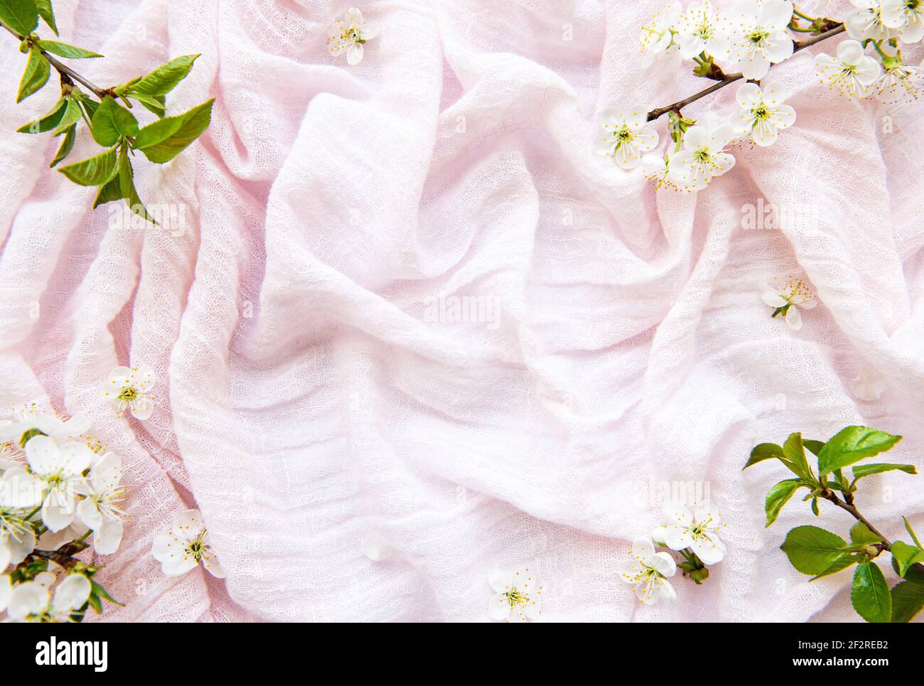 Pink fabric background with spring cherry blossom Stock Photo - Alamy