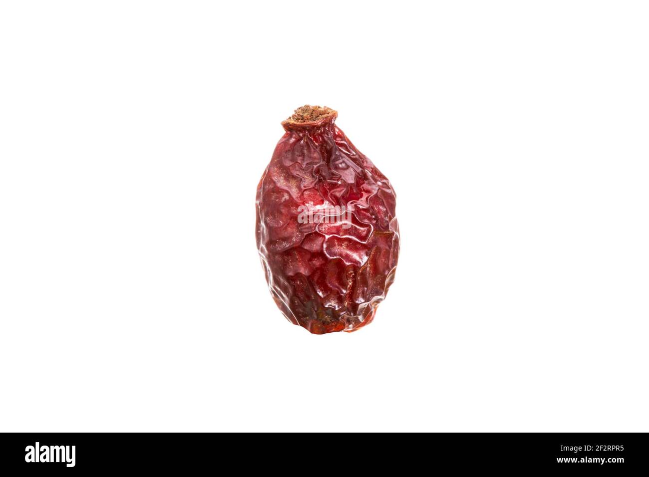 dried rose hips isolated on white background. High quality photo Stock ...