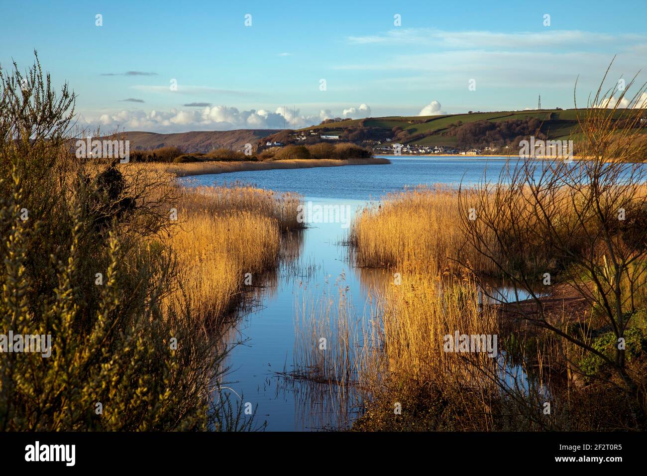 Slapton Ley; Devon; UK Stock Photo - Alamy