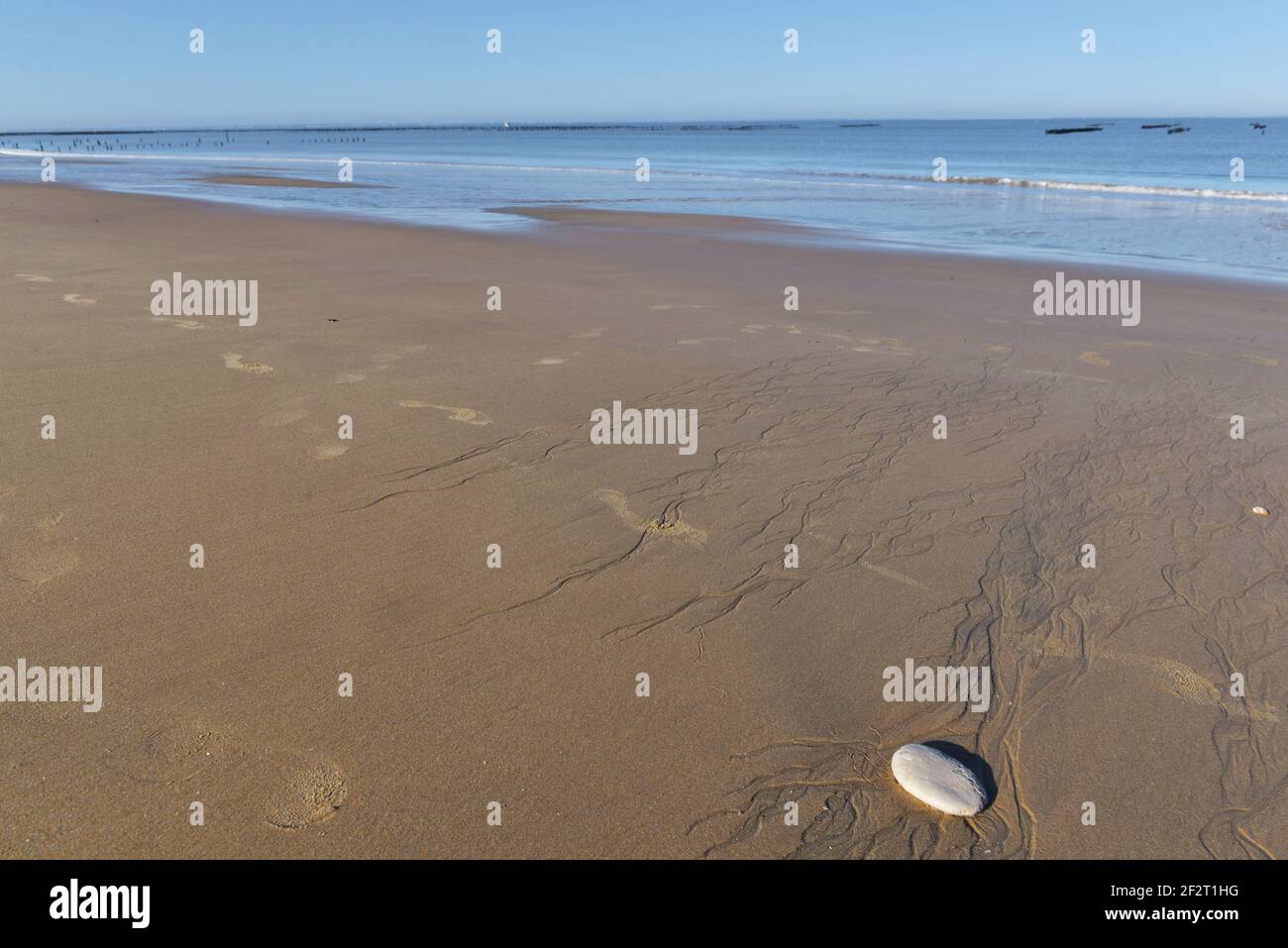 pebble in the wet sand on the beach with sea background in Altantic ...
