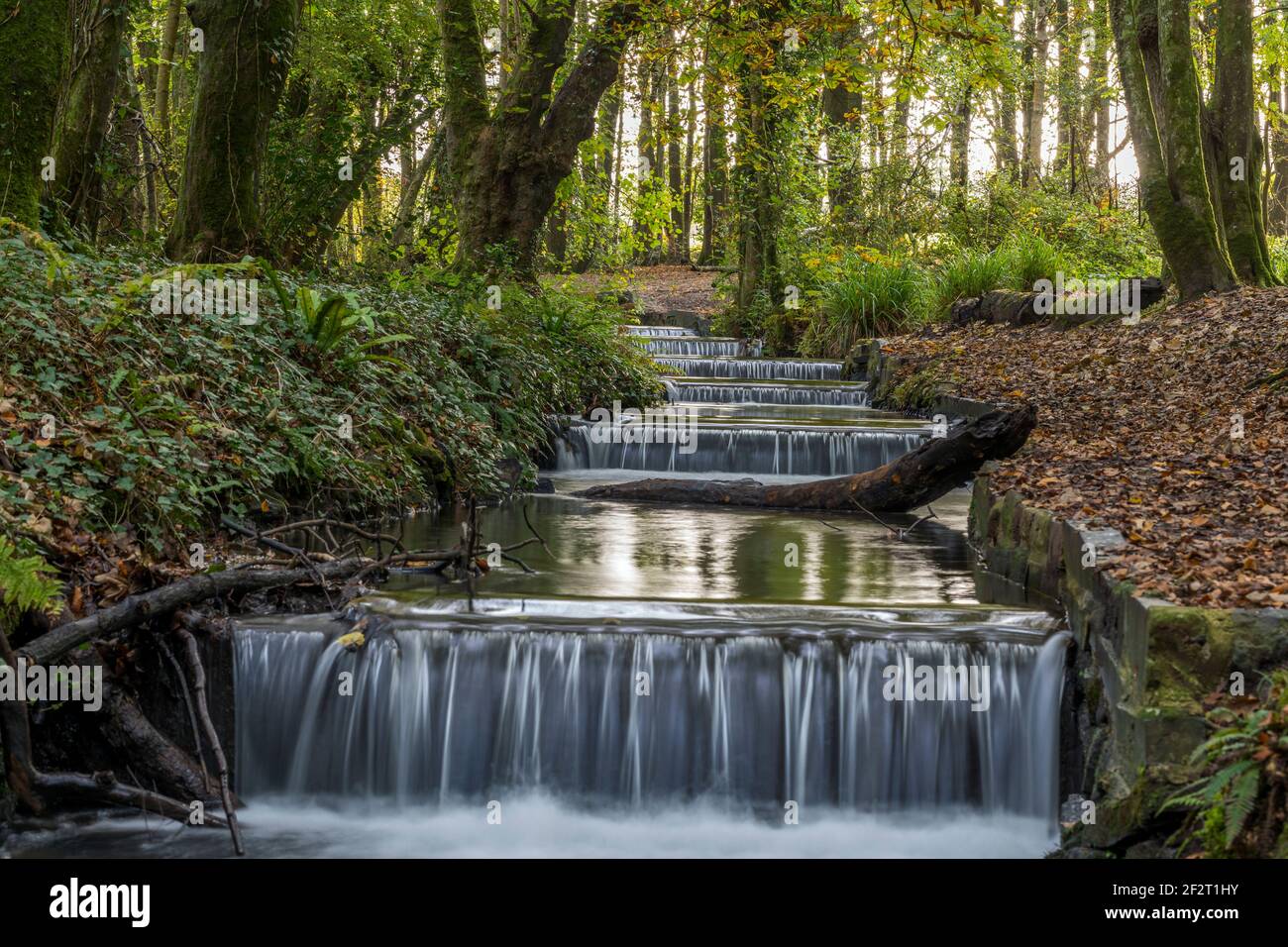 Tehidy country park hi-res stock photography and images - Alamy