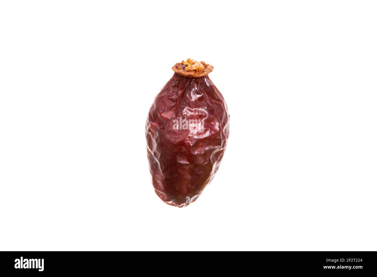 dried rose hips isolated on white background. High quality photo Stock ...