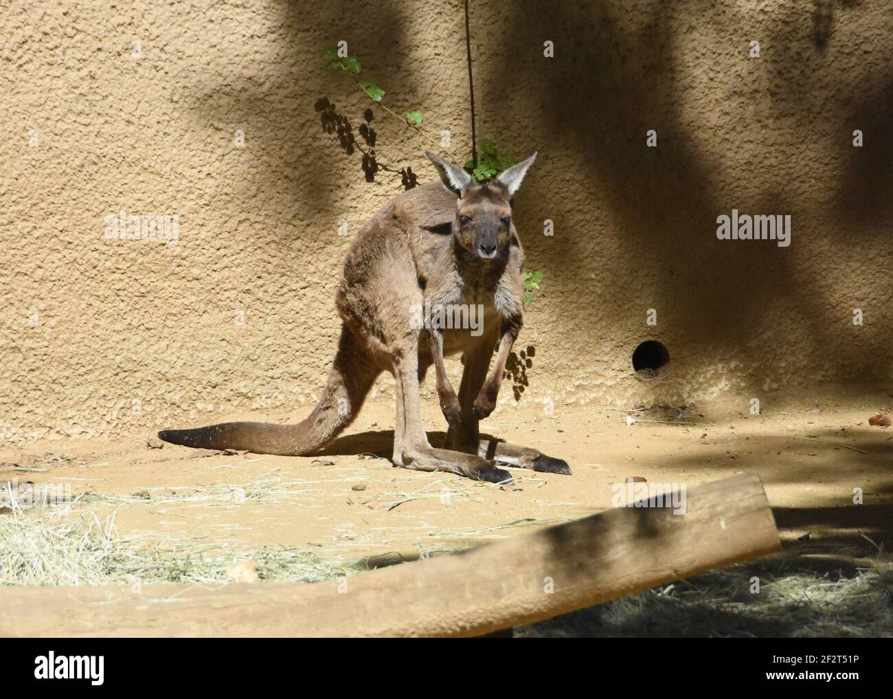 Los Angeles, California, USA 25th February 2021 A general view of ...
