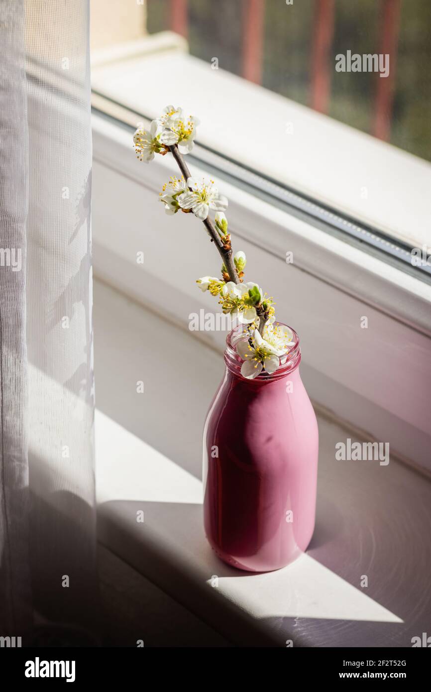 Spring flower decoration on a window sill. Blooming branch in small ...