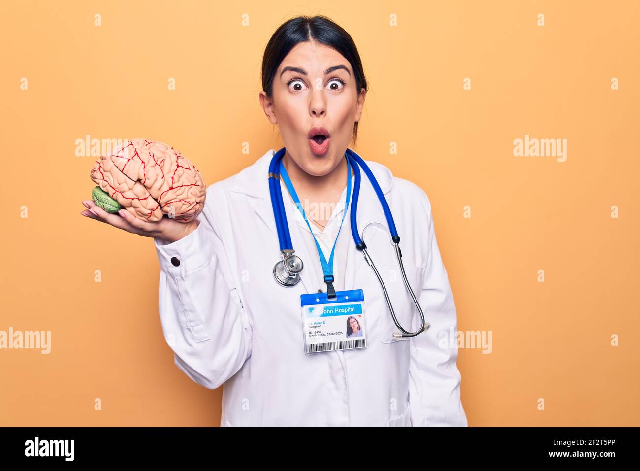 Young beautiful psychiatrist woman wearing stethoscope holding brain ...