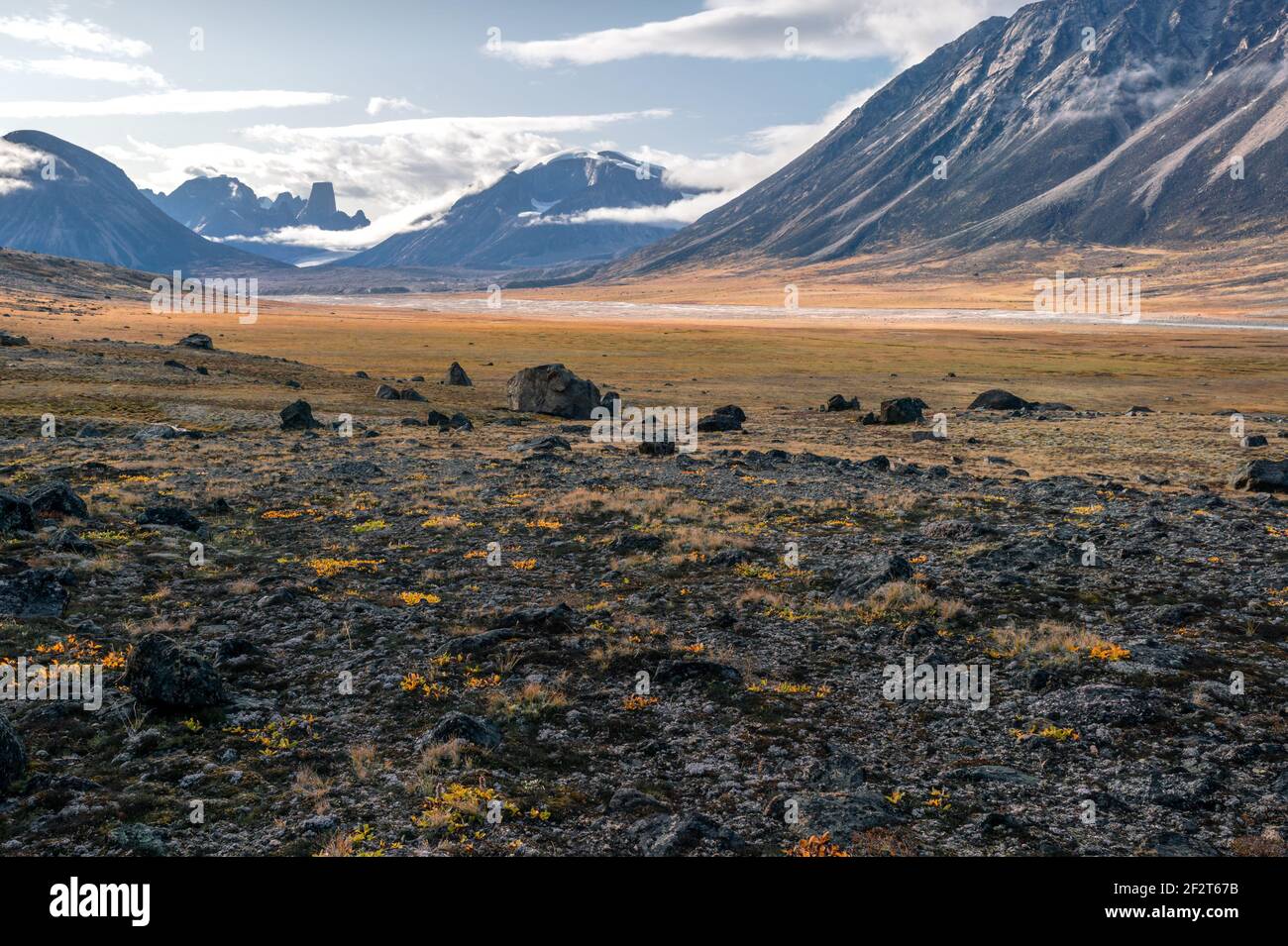 Owl River bed near Mt. Asgard, in arctic remote valley, Akshayuk Pass ...
