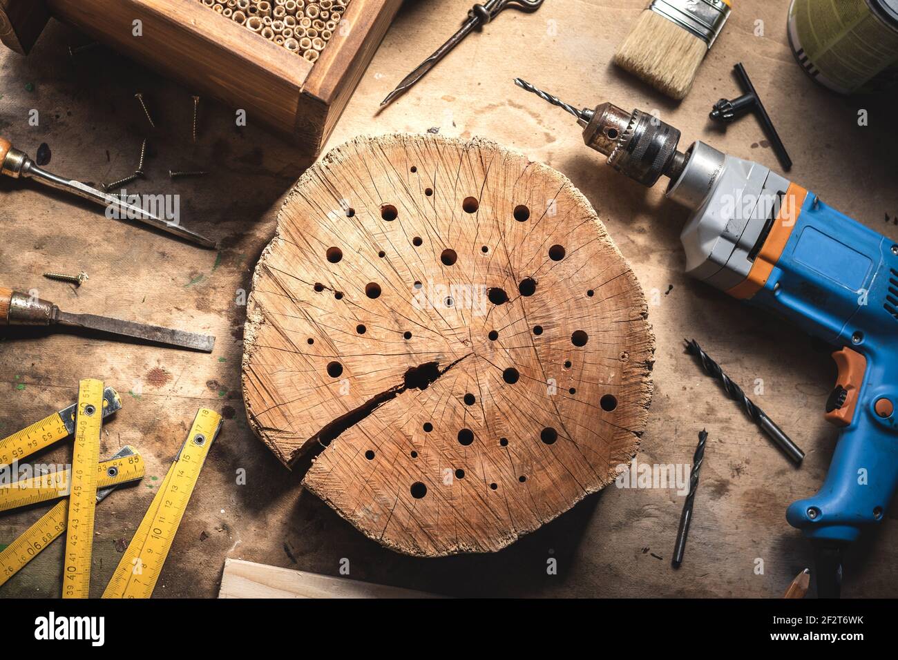 Insect diy house hi-res stock photography and images - Alamy