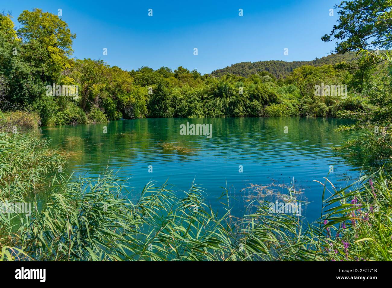 Krka river flowing through Krka national park in Croatia Stock Photo ...