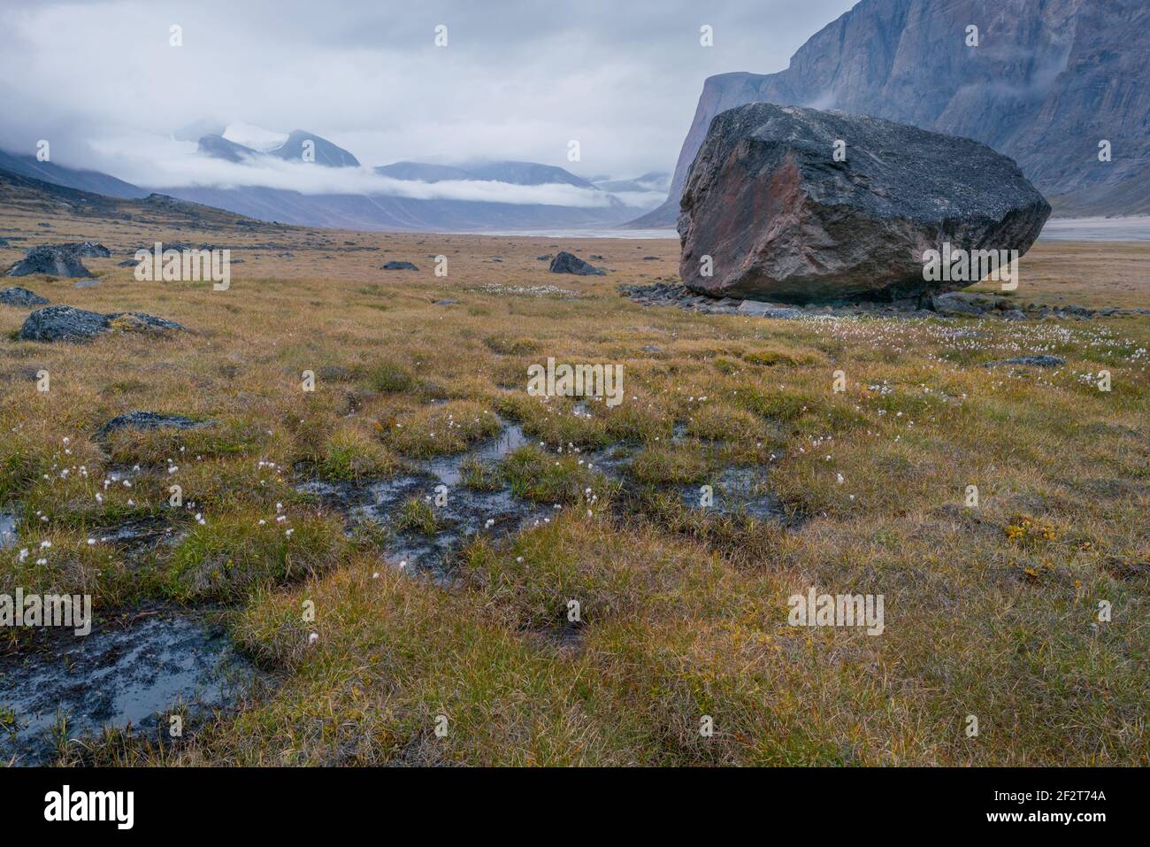 Baffin island cliffs hi-res stock photography and images - Alamy