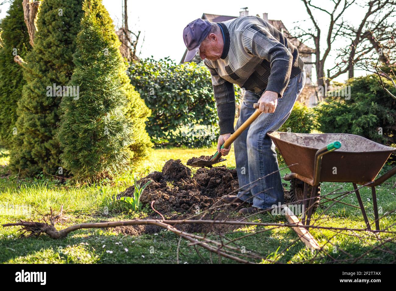 Man digging hole hi-res stock photography and images - Alamy