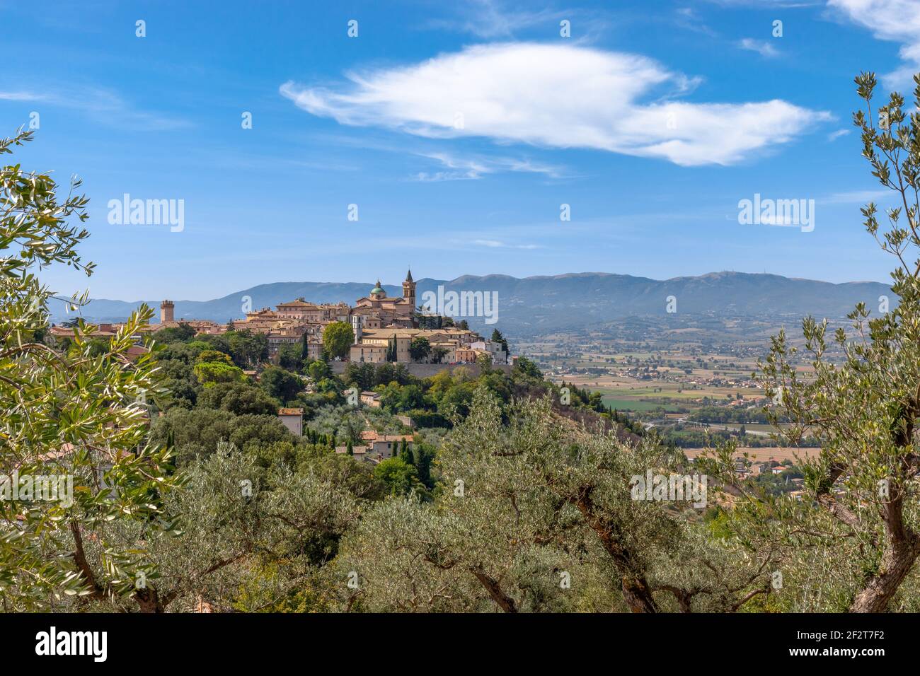 Countryside landscape with the ancient hill town Trevi and olive trees ...