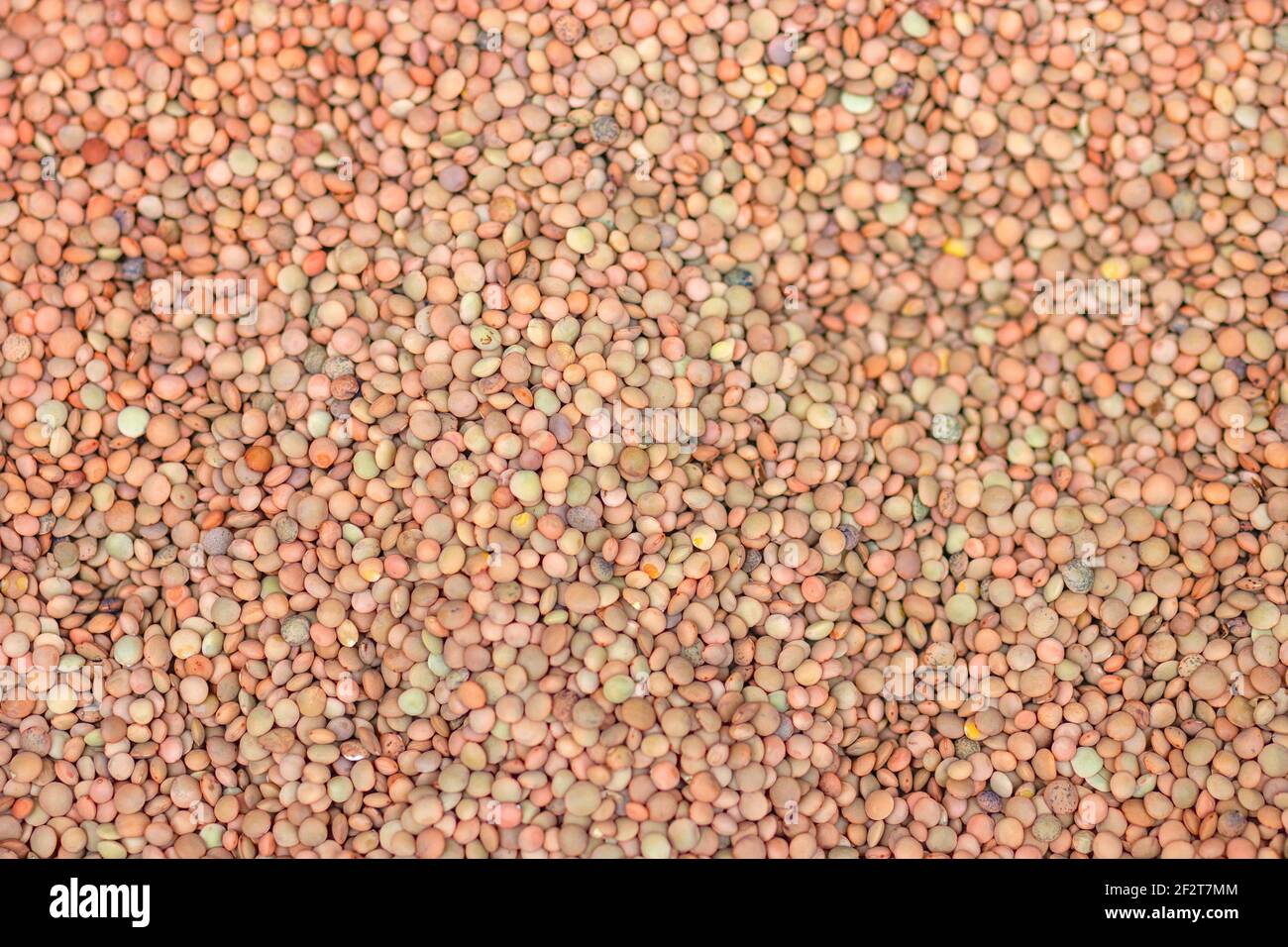 Lentils. Lentils background. Lentils pattern. Natural organic lentils ...